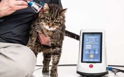 Medical Diode Laser System Manufacturer | Dimed Laser